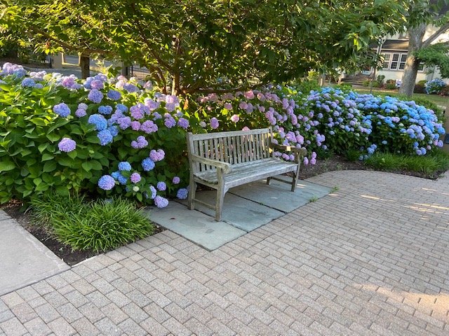 Barbara Reese, LCSW, CEDS-C - NEDA's Treatment Directory